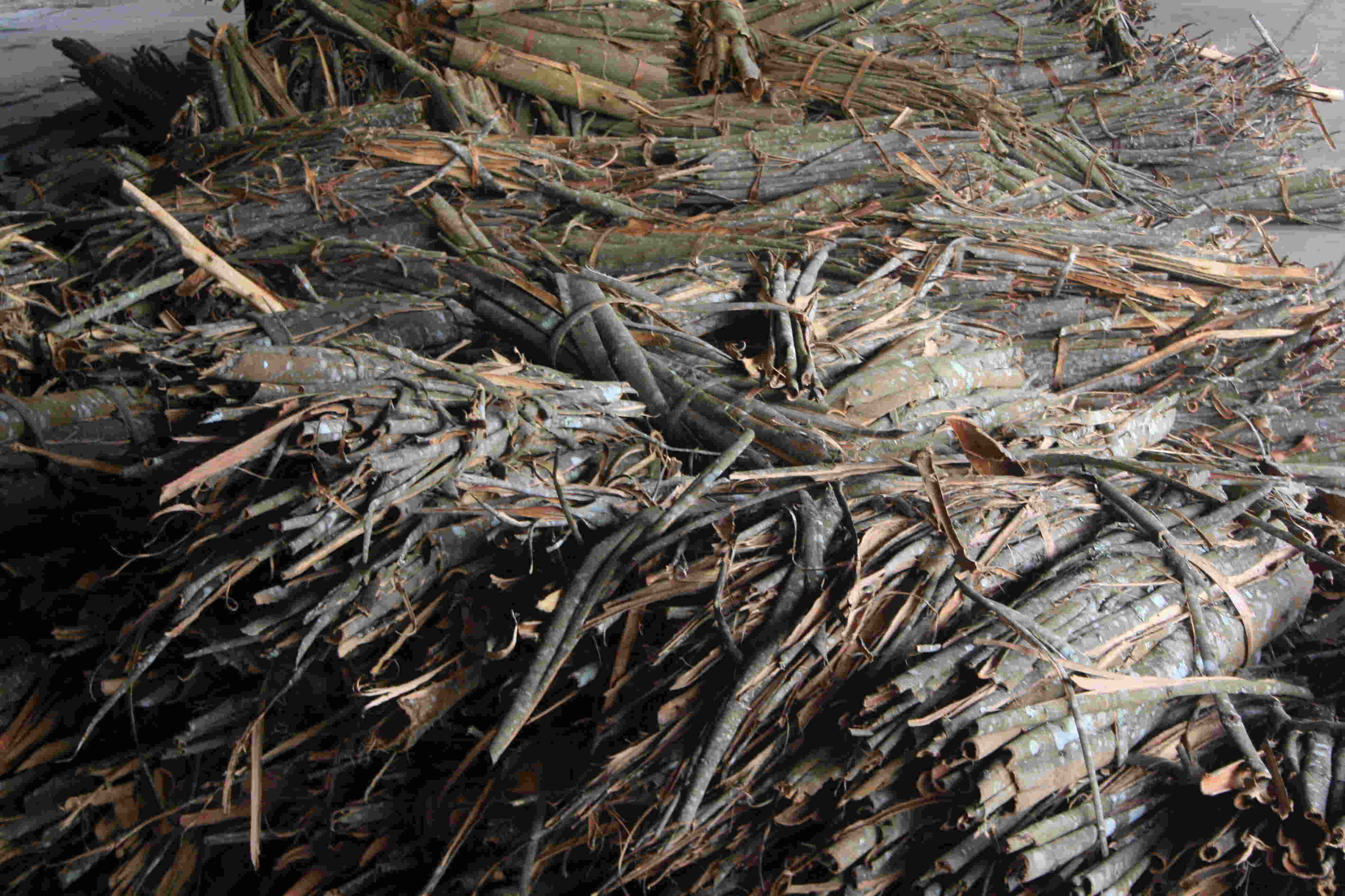 Tanganyika Wattle Company Limited